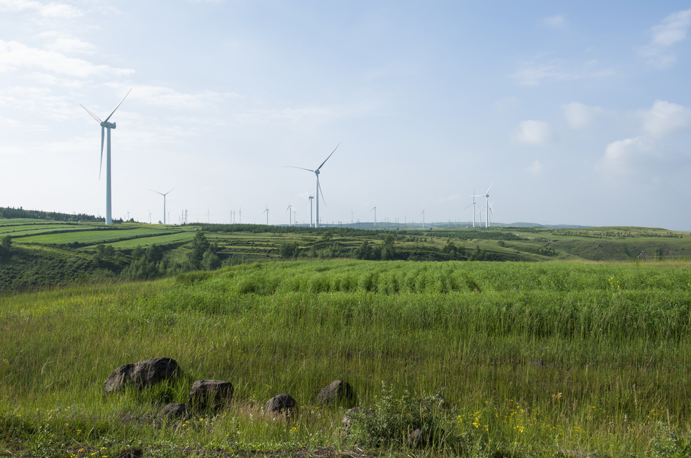 Windfarm of ZhangBei project China