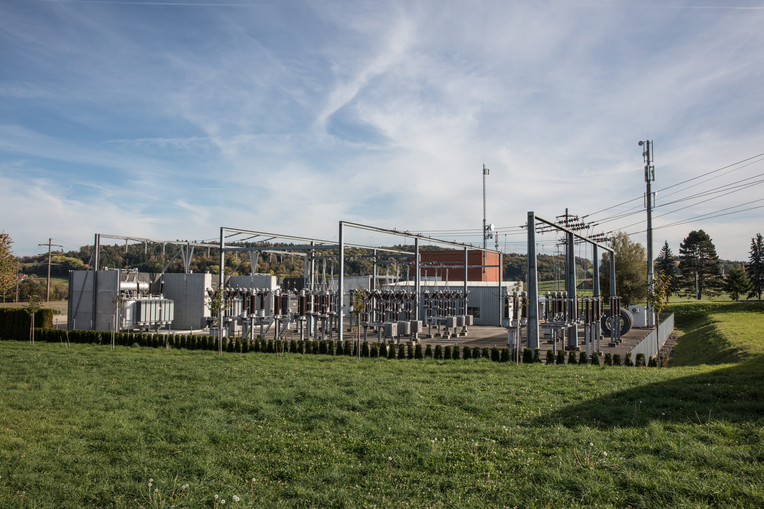 Environmental Policy